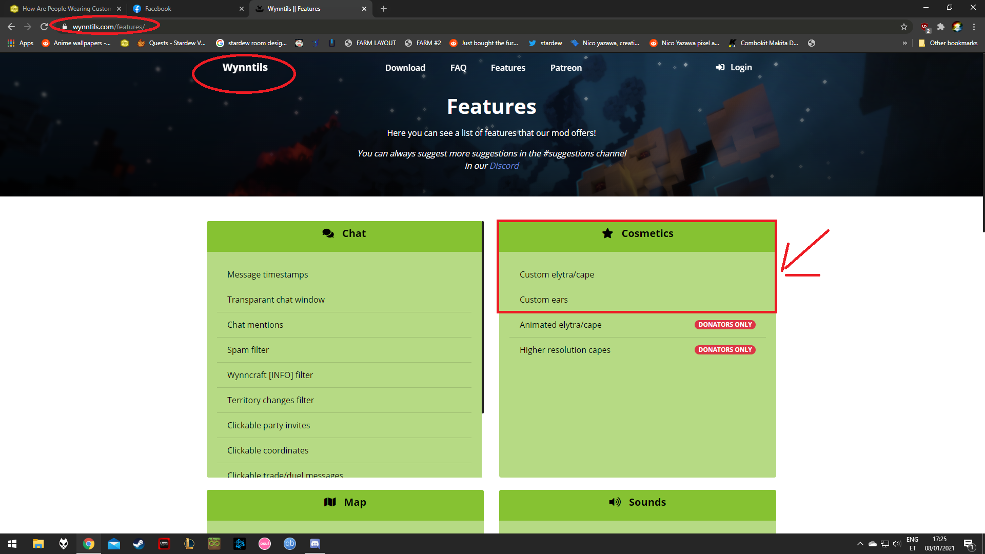How Are People Wearing Custom Capes? | Wynncraft Forums
